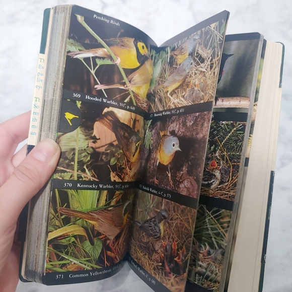 Vintage | Accents | Vintage Bird Field Guide | Poshmark